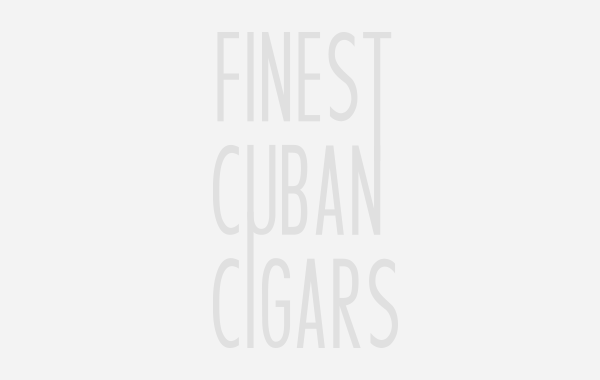 Cohiba Mini White - Cigarillos - Size - Finest Cuban Cigars